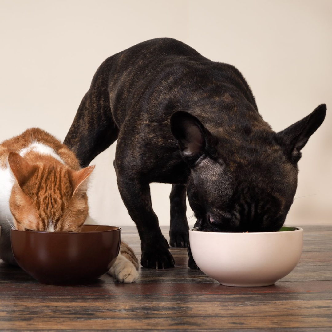 MANGIMI – Tom & Jerry